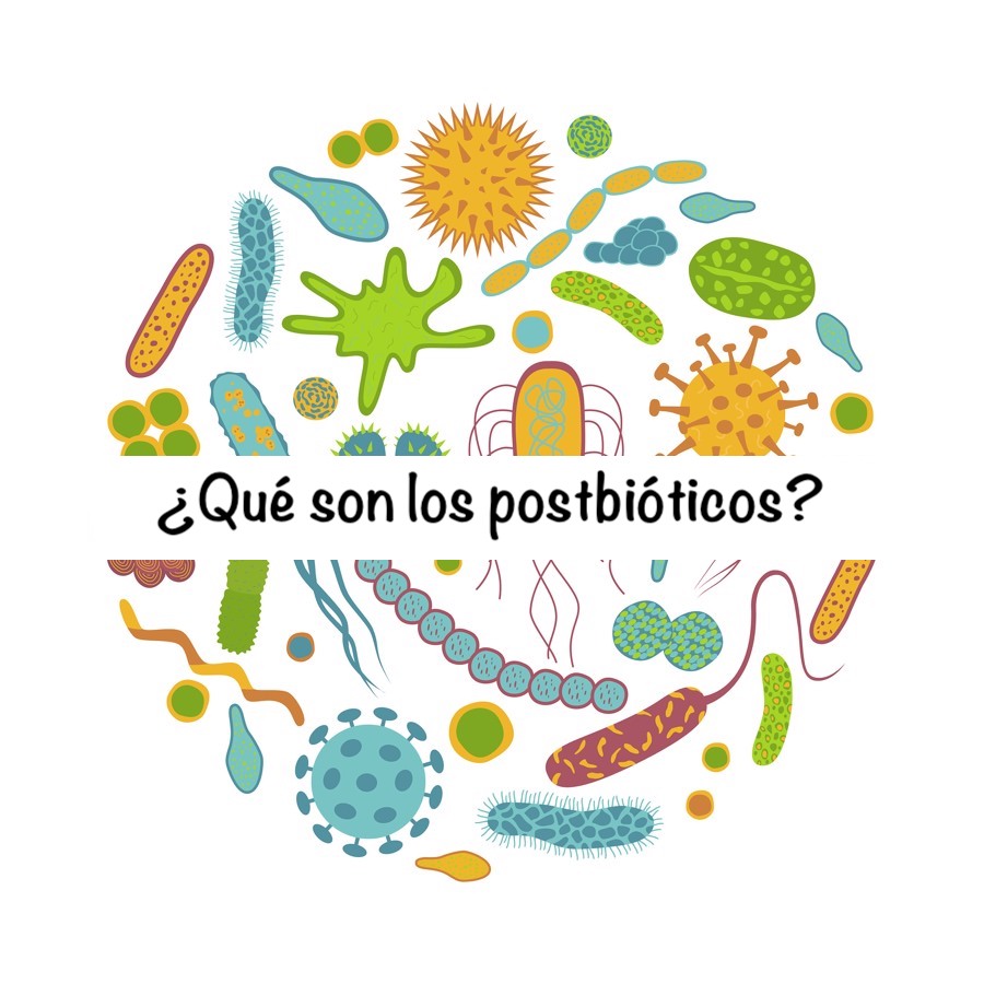 ¿Qué son los postbióticos? - Nutresalut